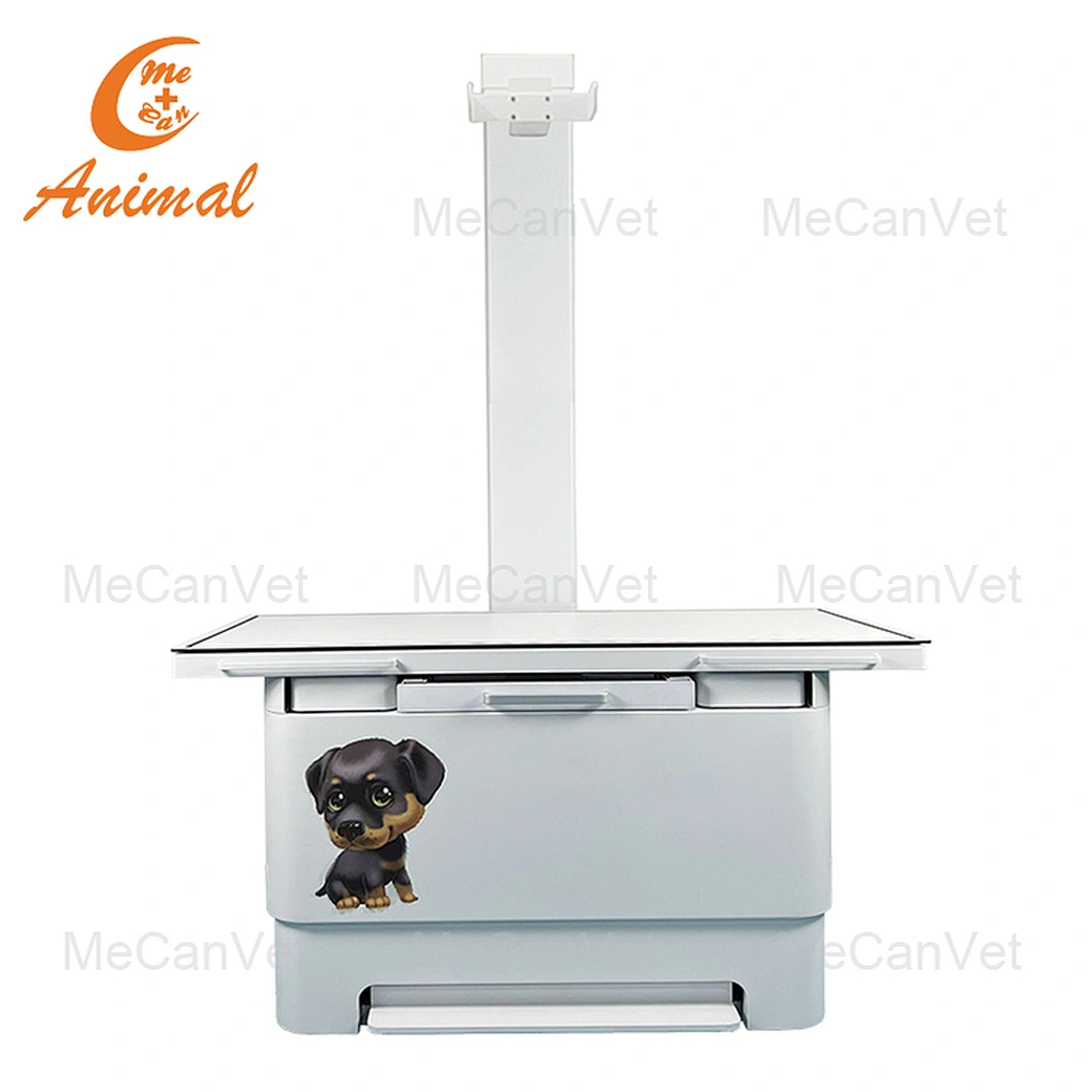 Veterinary X-Ray Table | MeCan Animal